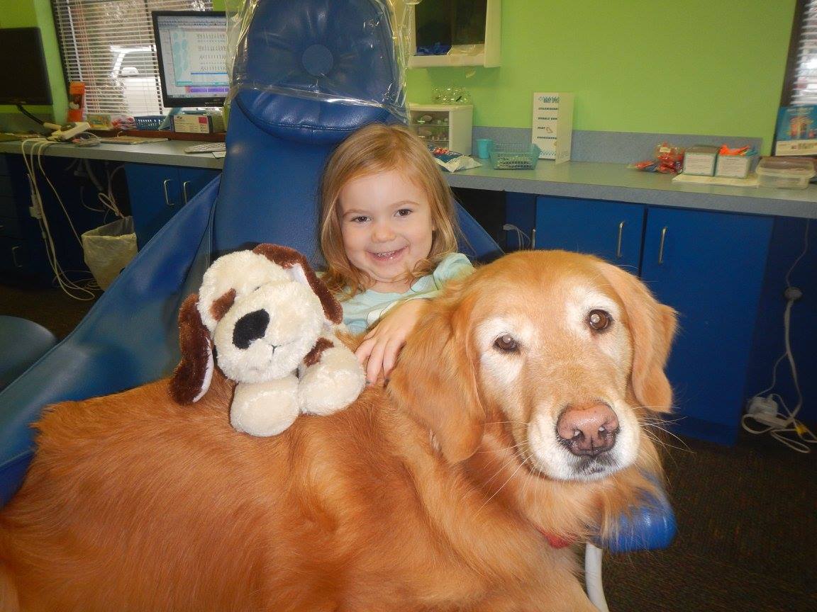 Therapy Dog | Growing Smiles Pediatric & Adolescent Dentistry